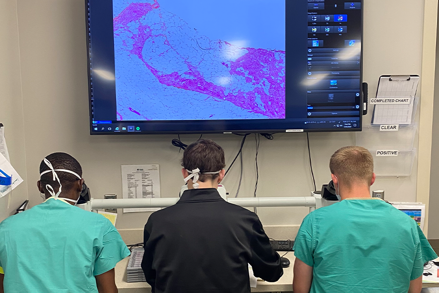 Dermatopathology | Department of Dermatology | University of Nebraska ...