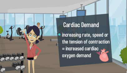 Cardiac Supply and Demand | E-Gallery | University of Nebraska Medical ...