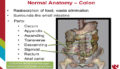 Anatomy of the Gastrointestinal Tract : E-Gallery