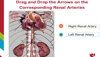 dissection | E-Gallery | University of Nebraska Medical Center