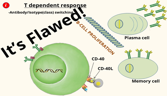Linked Recognition: Linking the Theory with Reality – E-Gallery