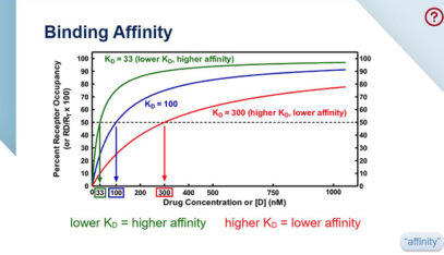 Binding Curves | E-Gallery | University of Nebraska Medical Center