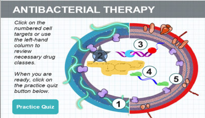 *Updated* Defeating Antibiotic Resistance: Mastering Drugs & Bugs | E ...