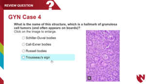 GU/GYN E-Module | E-Gallery | University of Nebraska Medical Center