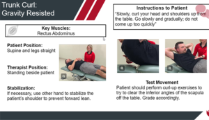 Manual Muscle Training: Trunk | E-Gallery | University of Nebraska ...