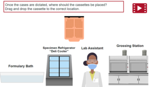 grossing | E-Gallery | University of Nebraska Medical Center