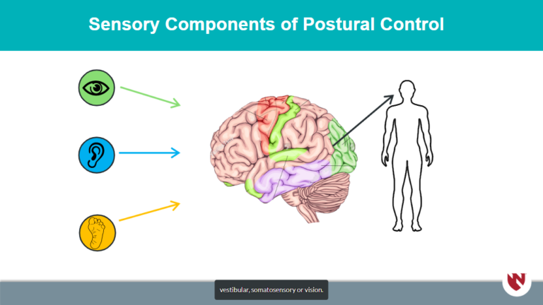 Instrumented Assessment of Postural Control Part 3: Sensory Components of Postural Control | E ...