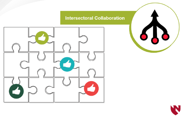 IPEC | E-Gallery | University of Nebraska Medical Center