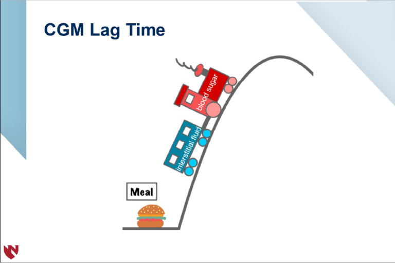 Continuous Glucose Monitor (CGM) Basics (Part One) | E-Gallery ...