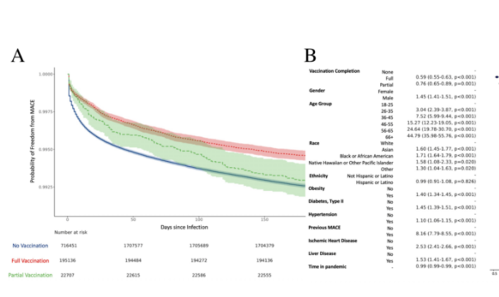 COVID-19 vaccination linked to fewer cardiac events | The Transmission ...