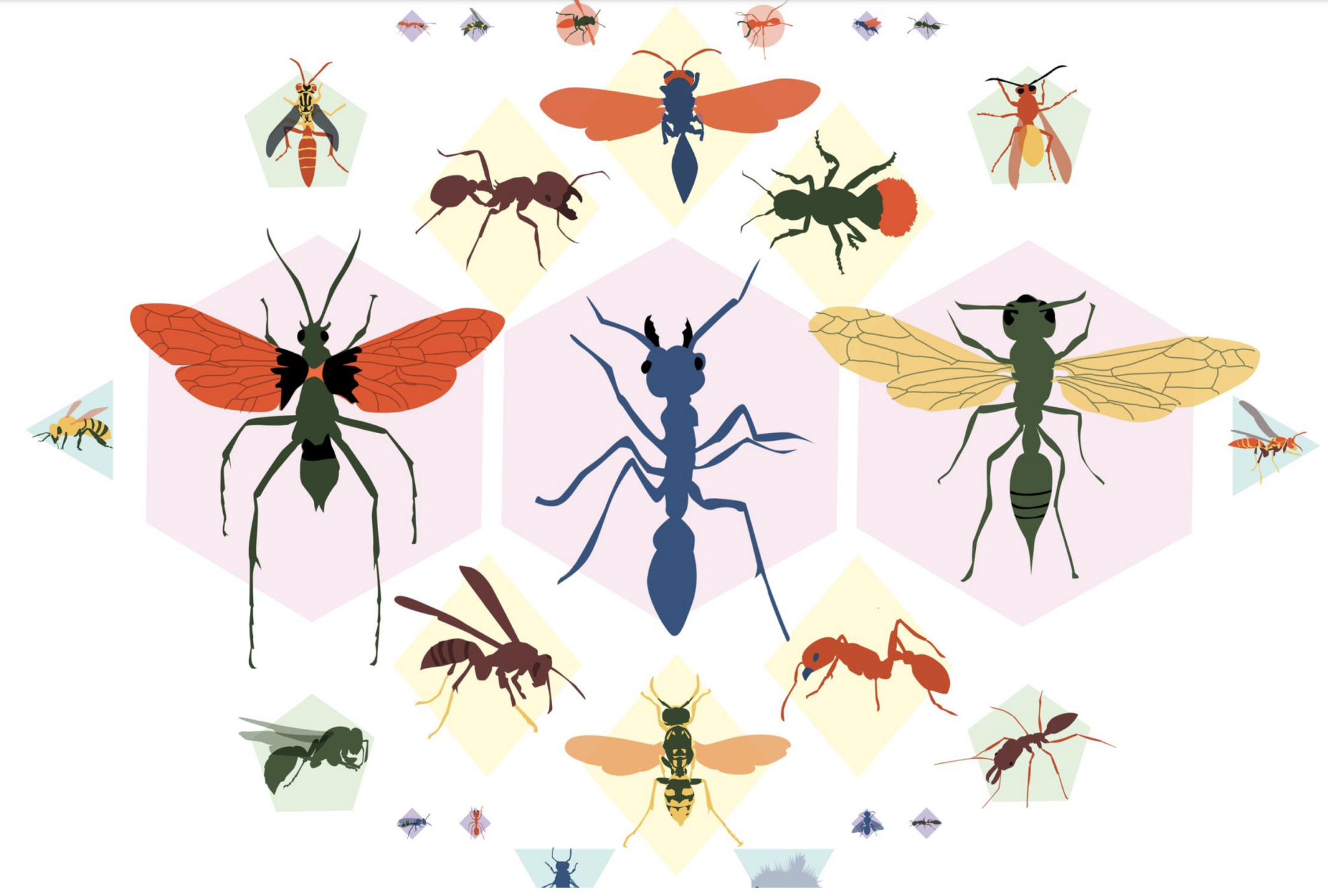 Ranking the Pain of Stinging Insects, From ‘Spicy’ to ‘Satanic’ | The ...