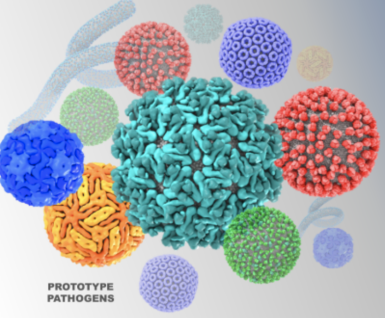 Scientists Discuss Prototype Pathogens for Pandemic Preparedness | The ...