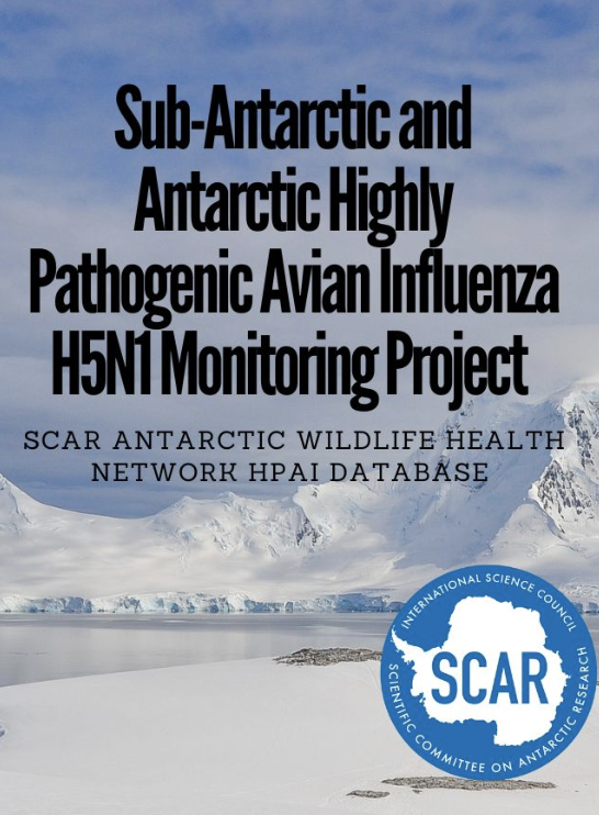 Sub-Antarctic and Antarctic Highly Pathogenic Avian Influenza H5N1 ...