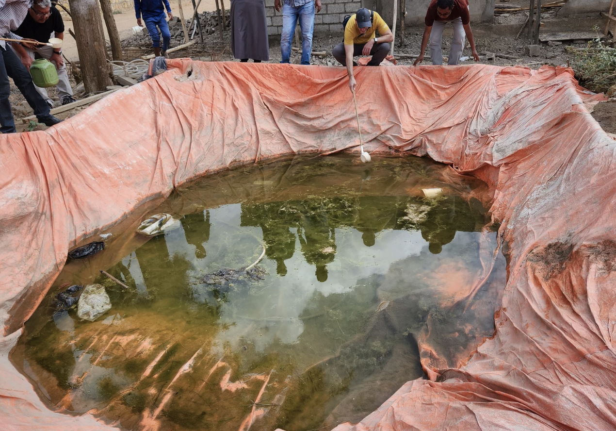 Malaria: Big city mosquitoes are a big problem — and now a big target ...