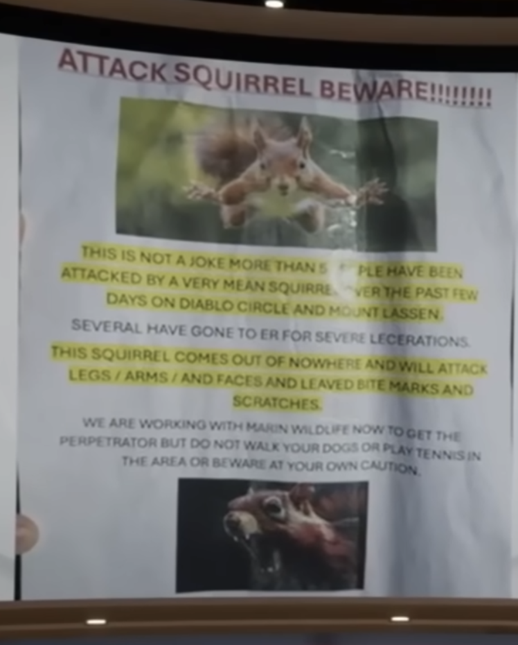 ‘Very mean squirrel’ seeking food has sent at least 2 people to the ER ...