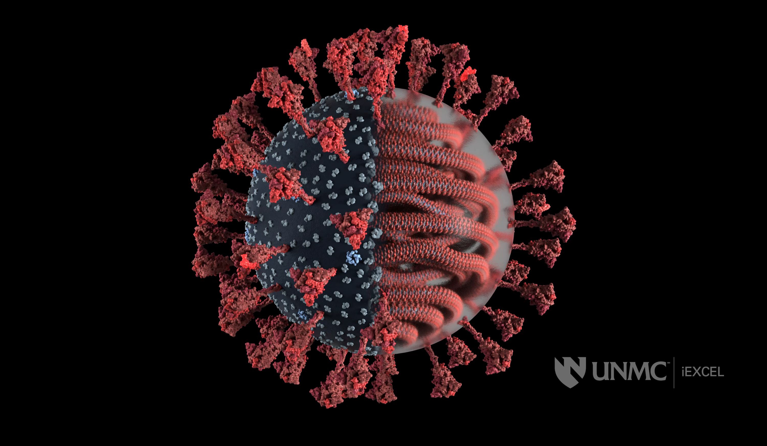 Visualization | iEXCEL | University of Nebraska Medical Center