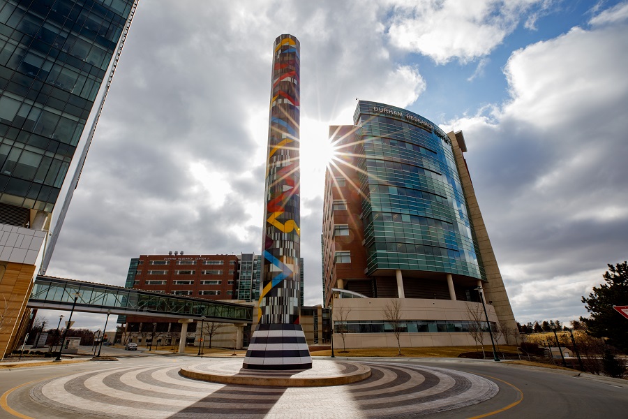 Geriatrics, Gerontology and Palliative Medicine | College of Medicine ...