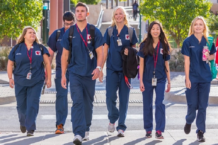 Geriatrics, Gerontology and Palliative Medicine | College of Medicine ...