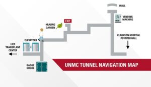 It's tunnel season -- here's what you need to know | Newsroom ...
