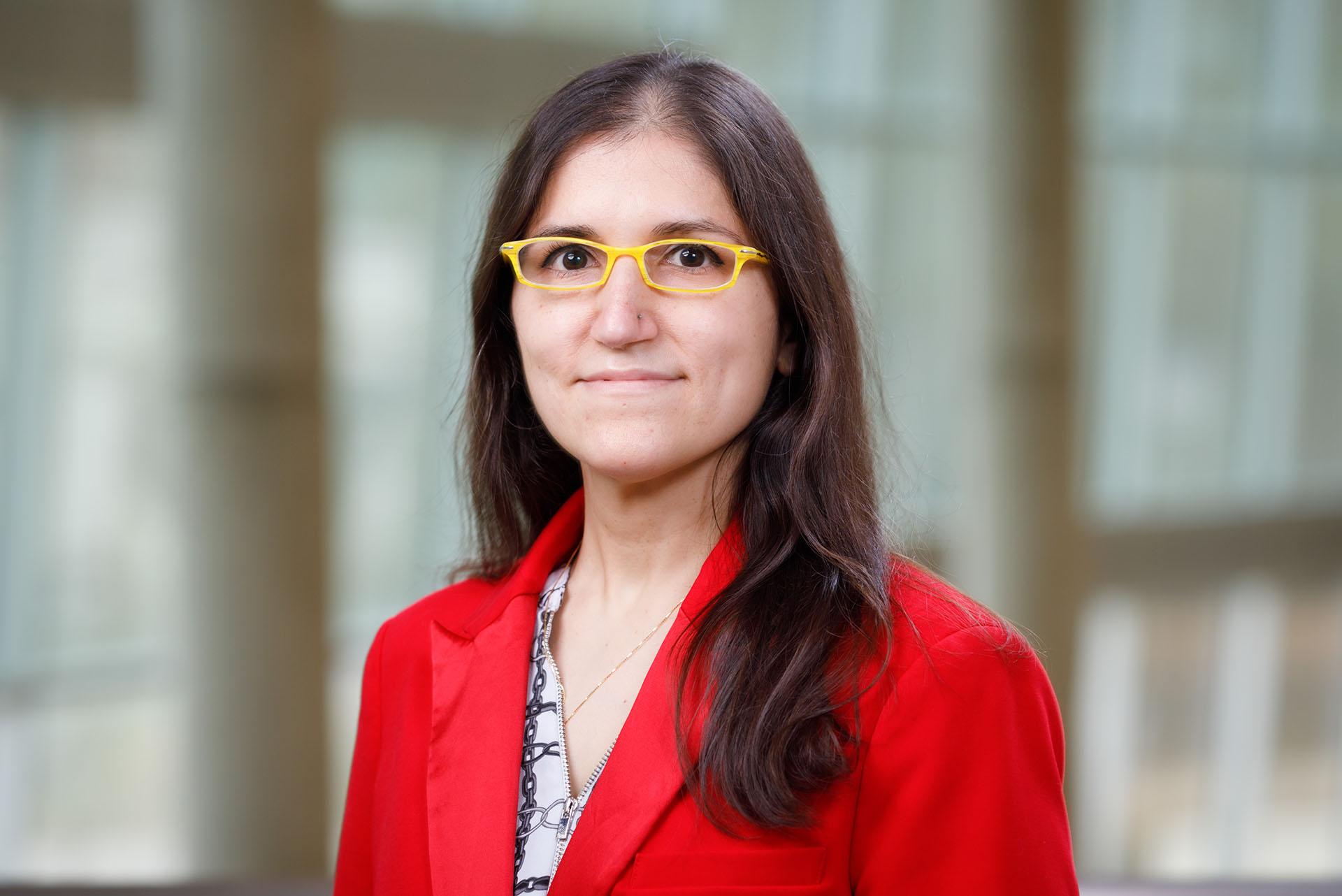 New faculty spotlight: Pooneh Bagher, PhD | Newsroom | University of ...