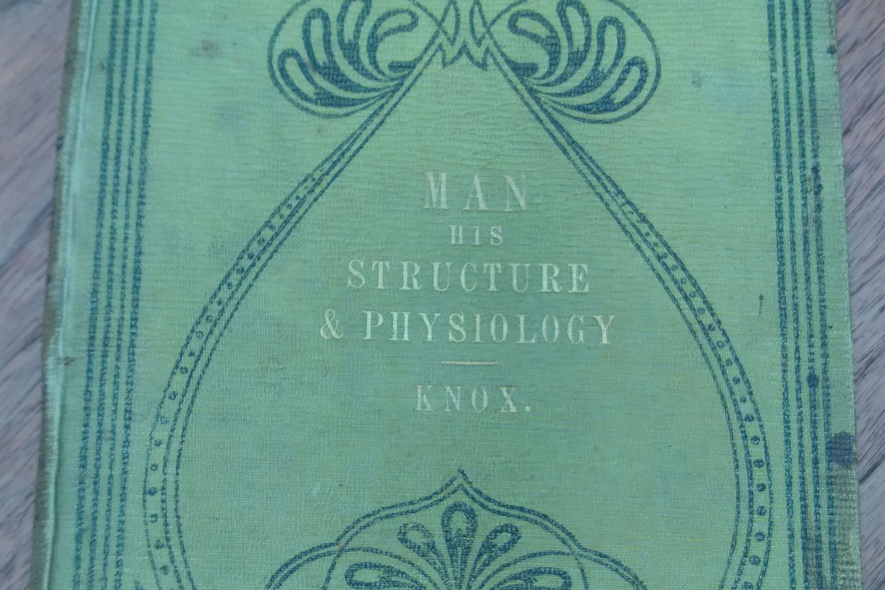 Erin Torell McGoogan Health Sciences Library Archives - Newsroom ...