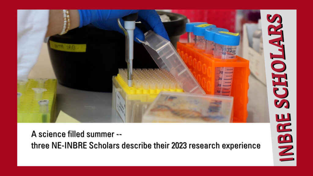 INBRE Scholars share their summer research experiences | Newsroom ...