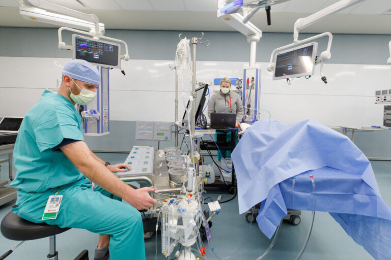 Clinical perfusion simulation program recognized among best | Newsroom ...