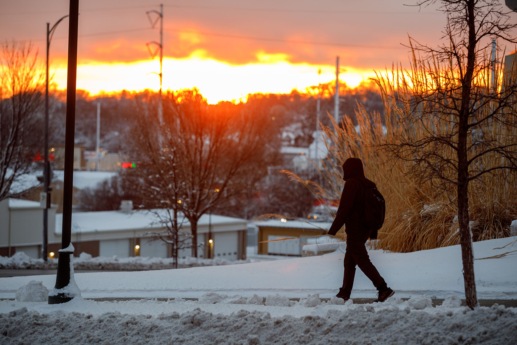 As seen on campus: The blanket of winter | Newsroom | University of ...