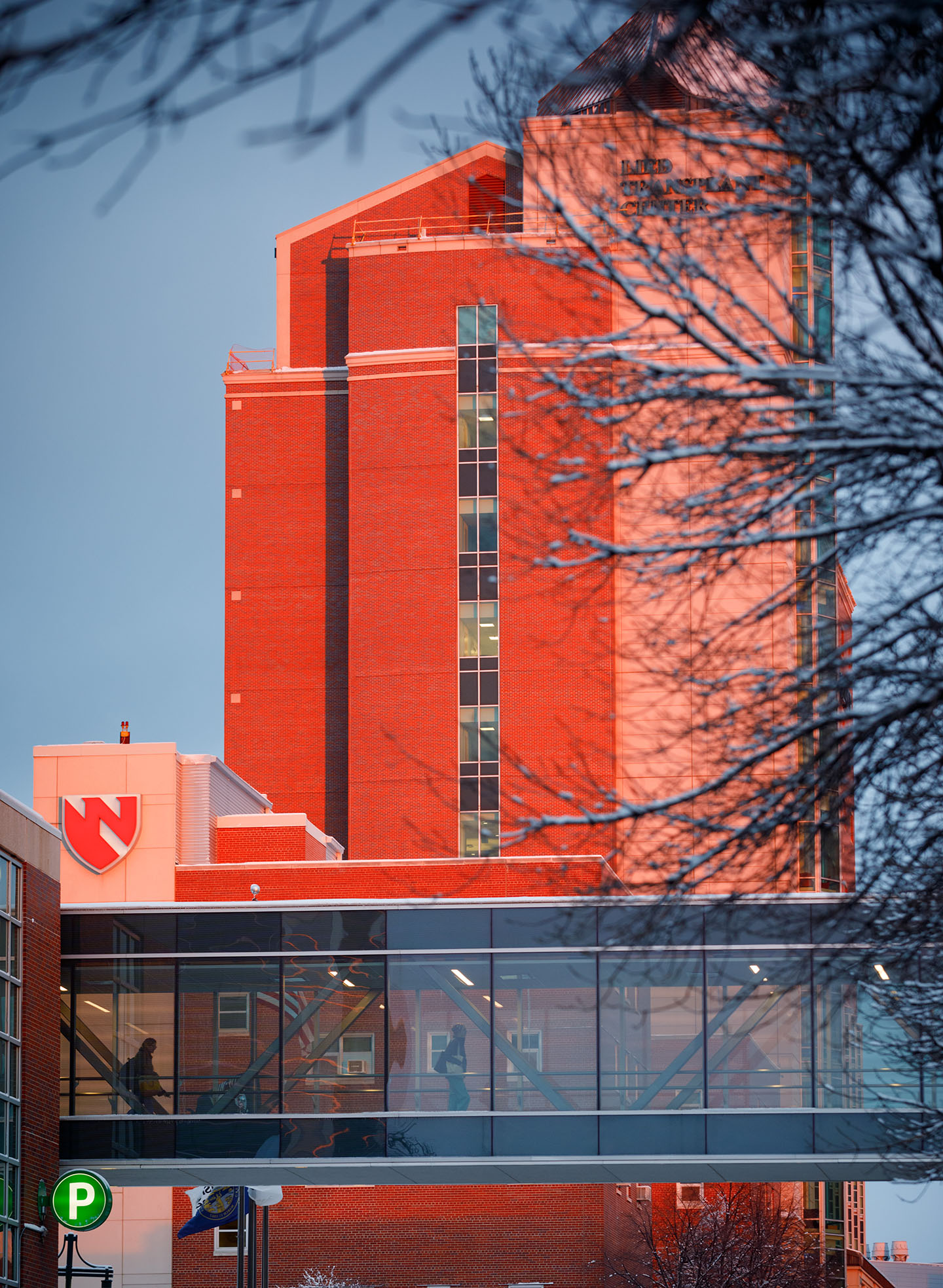 As seen on campus: The blanket of winter | Newsroom | University of ...