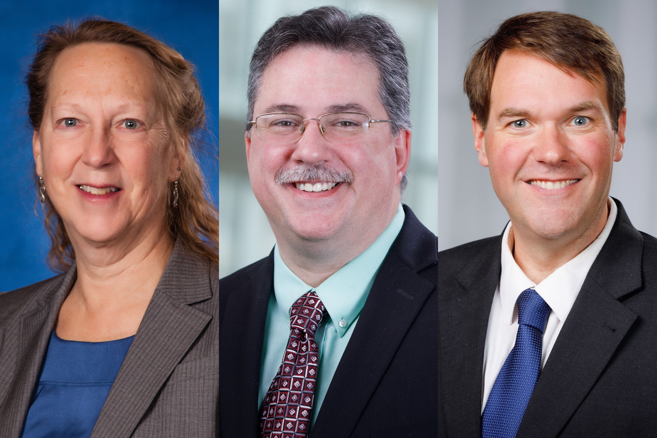 Three academy members named Distinguished Educators | Newsroom ...