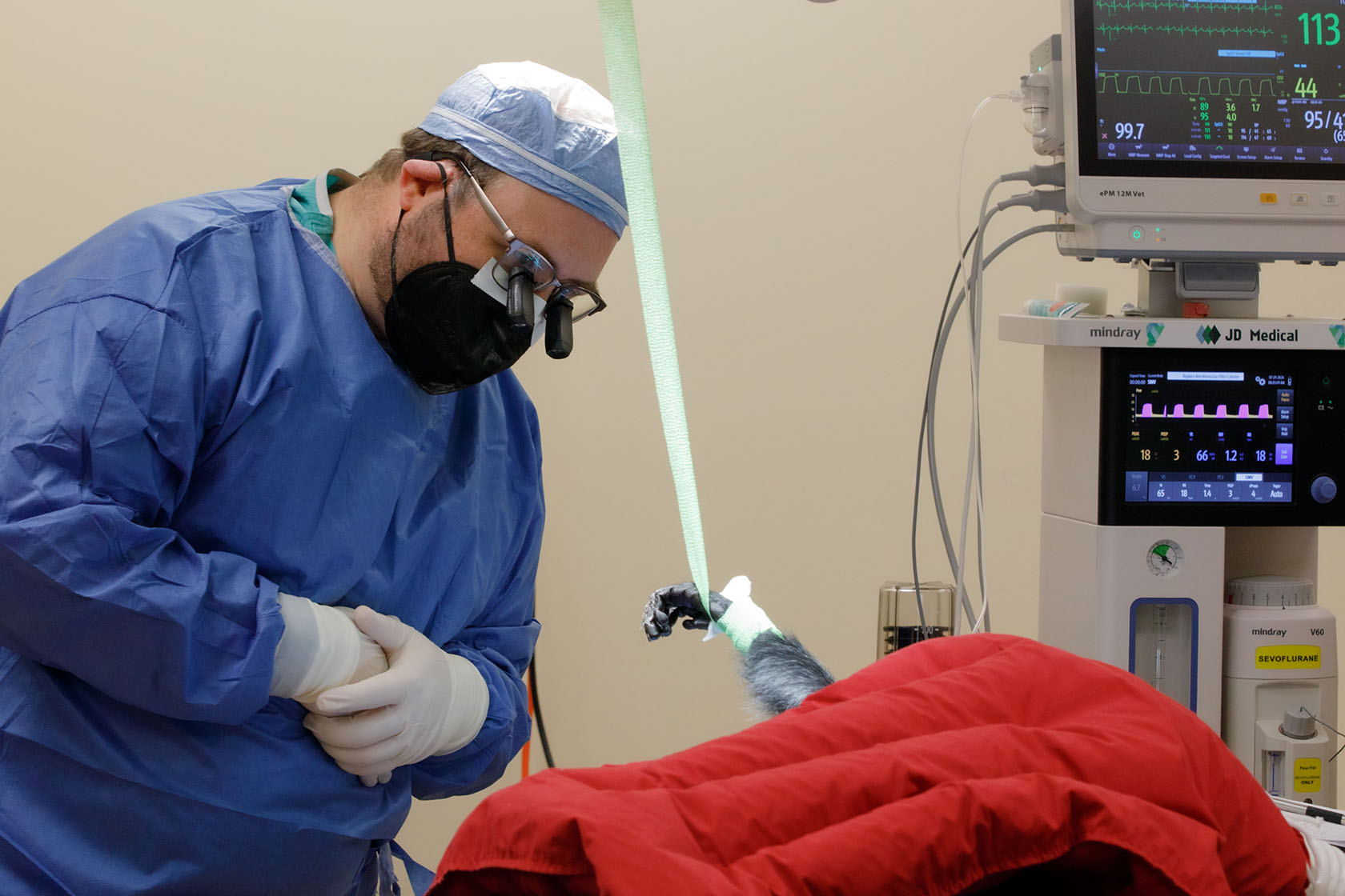 A skilled surgeon's hands and an unconventional patient | Newsroom ...