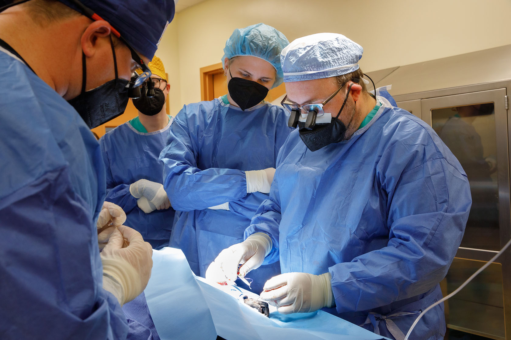A skilled surgeon's hands and an unconventional patient | Newsroom ...