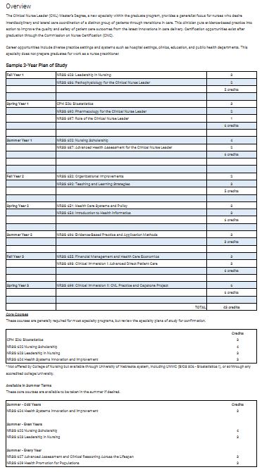 Clinical Nurse Leader | College of Nursing | University of Nebraska ...