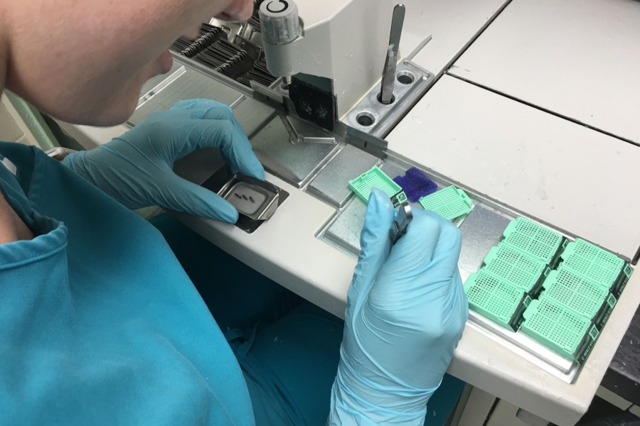 Human DNA Identification Laboratory | Department of Pathology ...